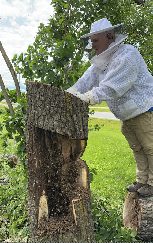 Property Managers Get a Hands-On Lesson in Honeybee Management | RAC
